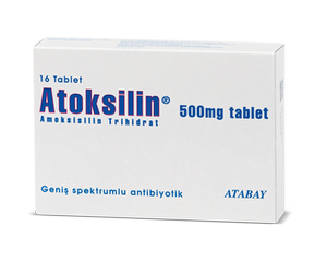 Products Pharmaceutical - Atabay